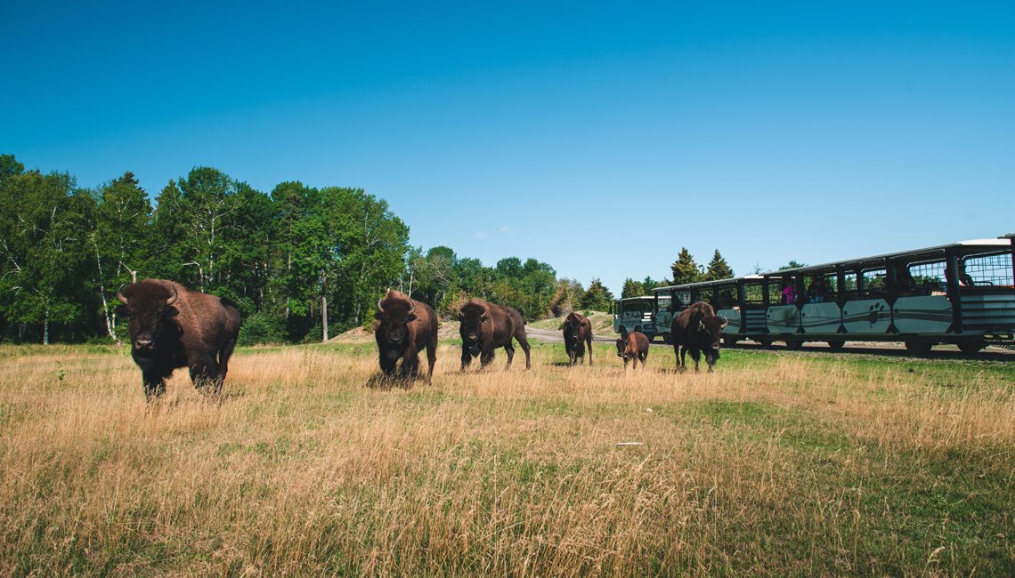 Eastern Discovery – Canadian Travel Partners